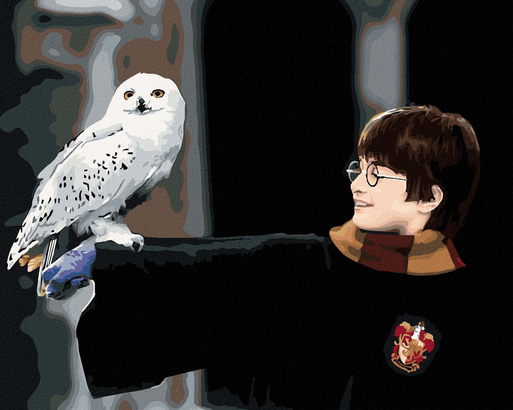 Malen nach Zahlen - HARRY POTTER MIT HEDWIG AUF DEM ARM – ZUTY DE